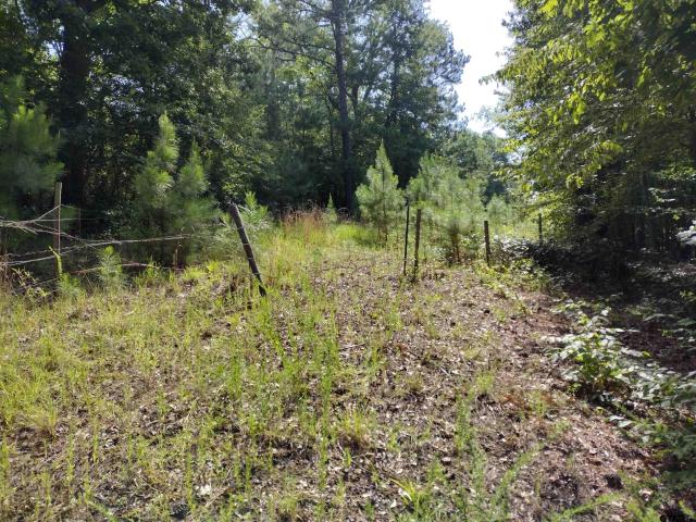 Tbd Willow Point Marina Rd, Lone Star, TX 75668 | MLS #23008