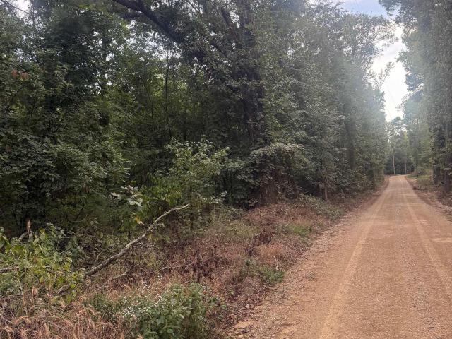 TBD Williams Cutoff Road