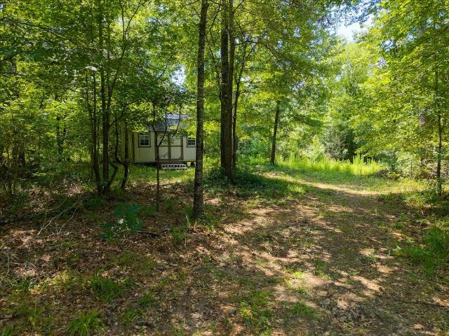TBD Williams Rd