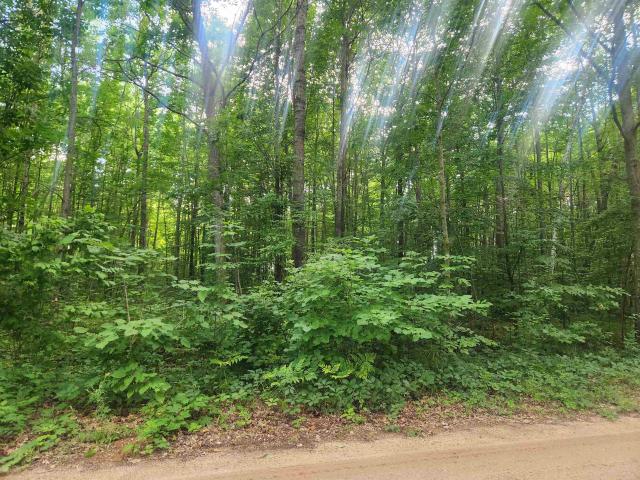 TBD Winding Wood Road