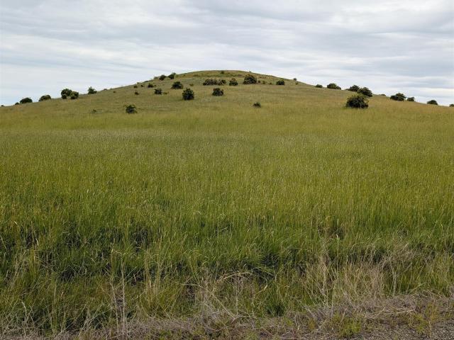 TBD Windrow Lane & Stillwater Road