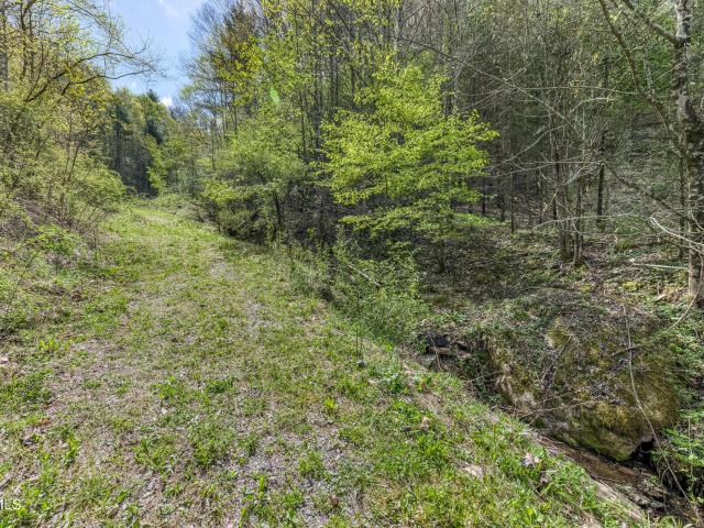 Tbd T Greer Road
