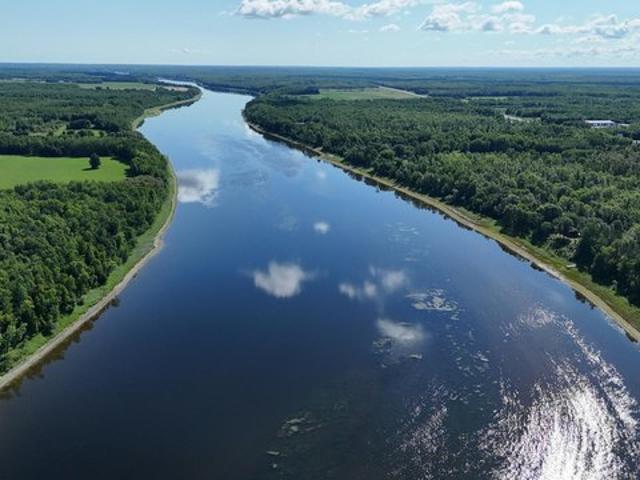 Tbd Town 207 Rd Lot 2, International Falls, MN 56649