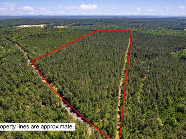 Tbd Toms Creek Rd, Hopkins, SC 28061