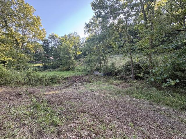 TBD Tattle Branch Rd