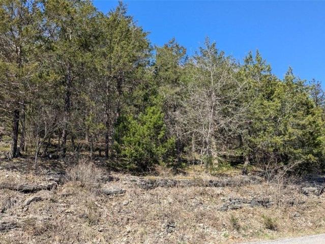 Table Rock Dr Lot 15, Holiday Island, AR 72631