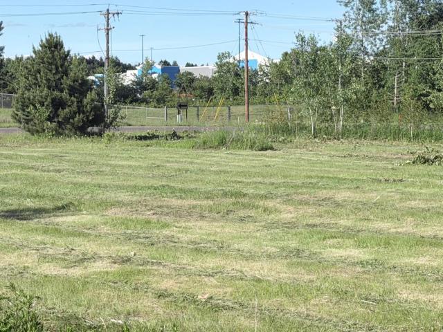 TBD Tall Pine Lane
