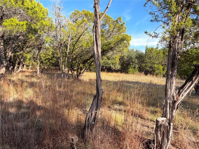 Tbd Terra Vista Ct, Canyon Lake, TX 78133 | MLS #9173