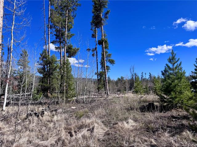 Tbd Thoroughbred Trl, Oak Creek, CO 80467 | MLS #S1068