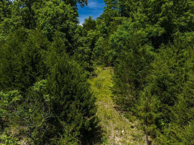 Tbd Timberhill Road Tract 1