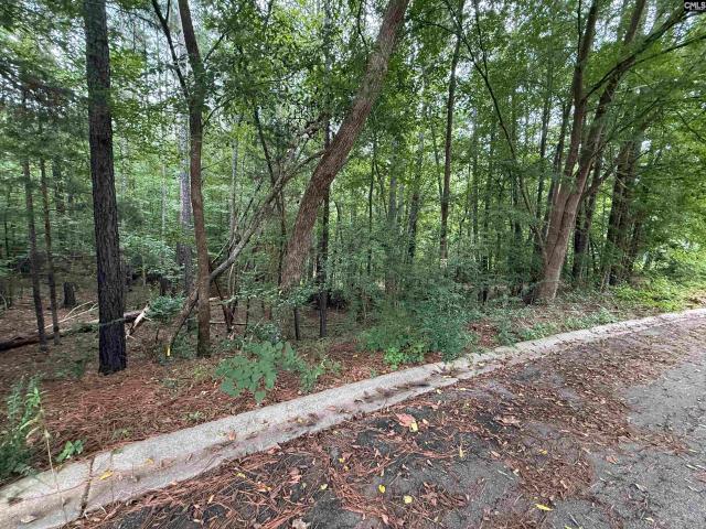 TBD Timberlane Drive