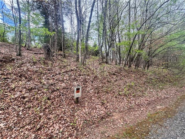 TBD Timberline Dr