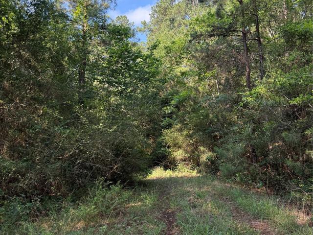 TBD Timberwood Lane
