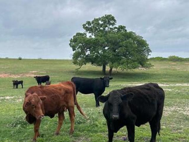 Tbd tr 5 W Gates Valley Rd