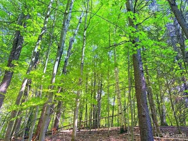 Tbd S Tracie Ln Parcel A, Marquette, MI 49855