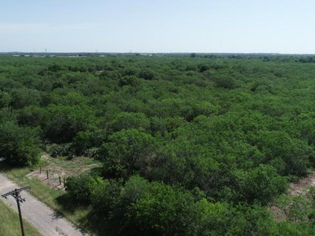 Tbd Tract 3 Pierce Rd, Goliad, TX 77963