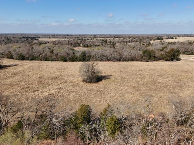 TBD Tract 10 FCR 445