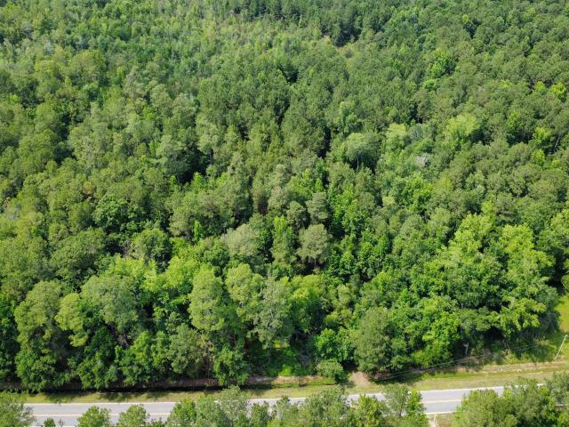 TBD Tract 1 Long Branch Swamp Rd