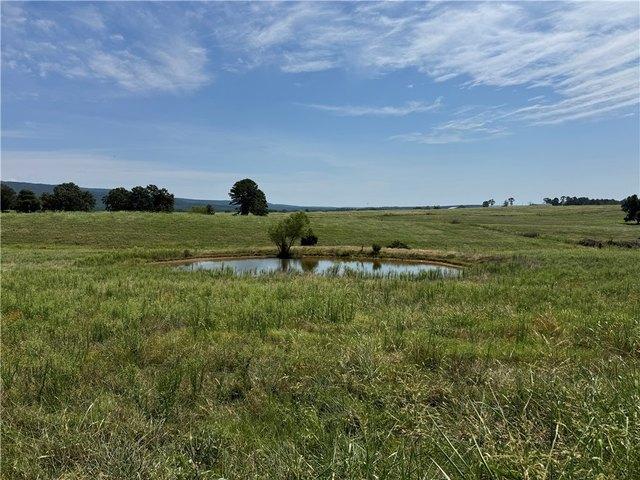 Tbd Tract 2 Llewellyn Loop Lot 2, Hector, AR 72843