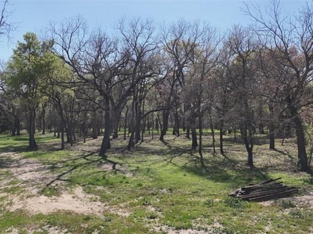 Tbd Tract 2 Ranch Lake Ct, Weatherford, TX 76087