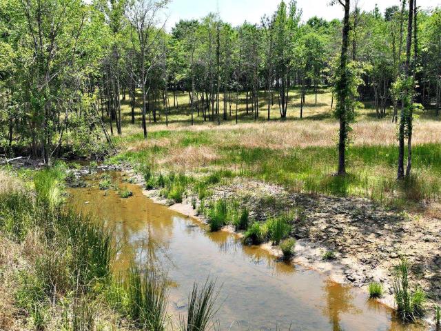TBD, Tract 4 Polk Road 158