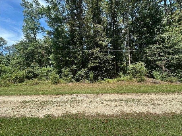 Tbd Tract 4 Ragusa Rd Lot 0, Independence, LA 70443