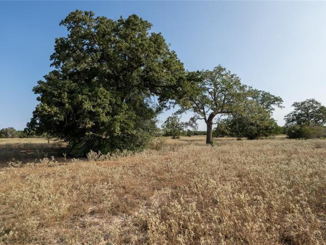 Tbd tract 5 cedar rock rd