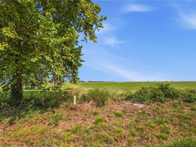 Tbd Tract 5 Llewellyn Loop Lot 5, Hector, AR 72843