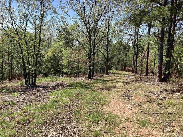 Tbd Tract 8 Chaparral Ln, Mena, AR 71953