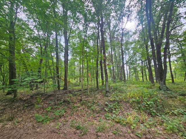 TBD Tract C Richfield Road SW