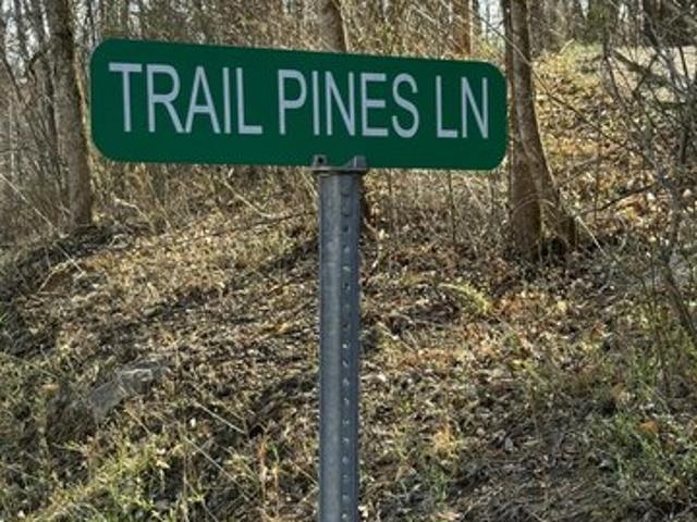 Tbd Trail Pines/Edge Ln, Frenchburg, KY 40322