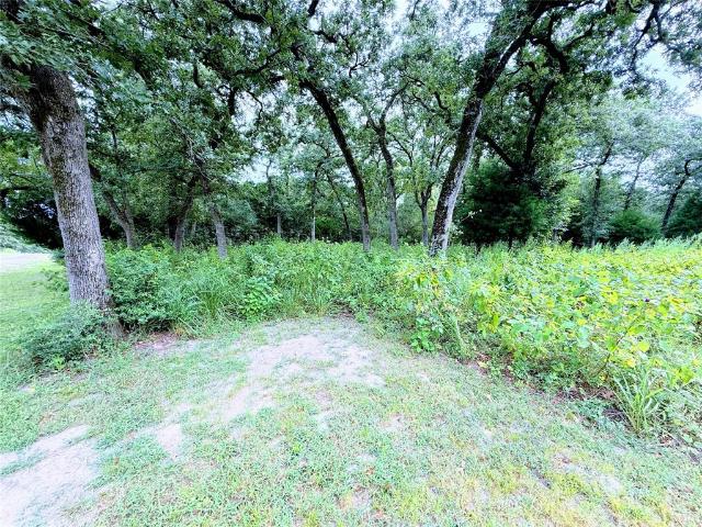 Tbd Trailride, Hilltop Lakes, TX 77871 | MLS #21038