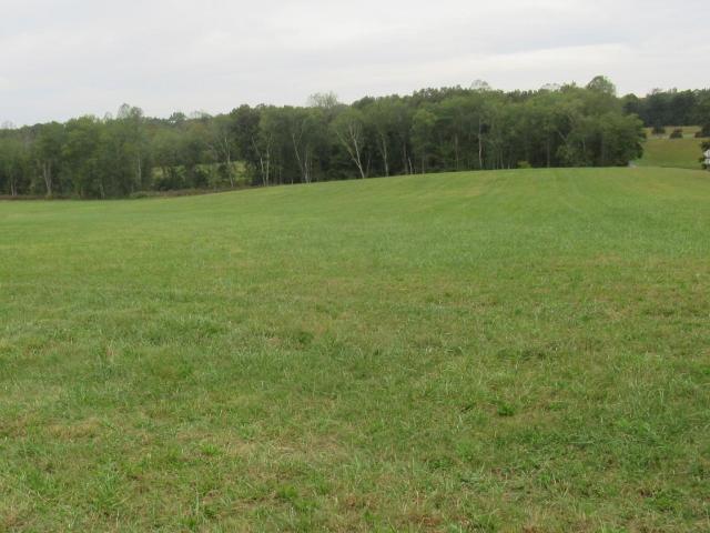 Tbd Transco Rd, Scottsville, VA 24590 | MLS #669853