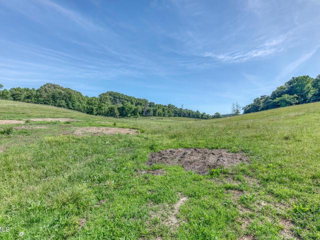 Tbd Treadway Trail