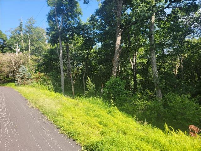 TBD Tree Top Drive