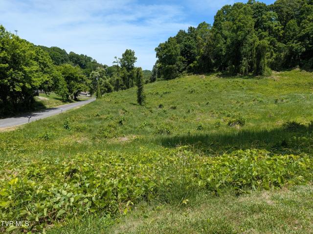 Tbd Tuggle Hill Road 114 015.001
