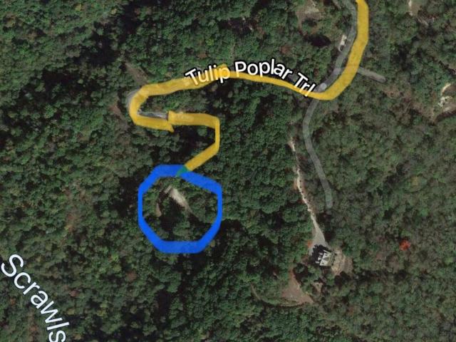 Tbd Tulip Poplar Trail Extension