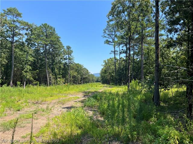 TBD Twin Ridges Estates