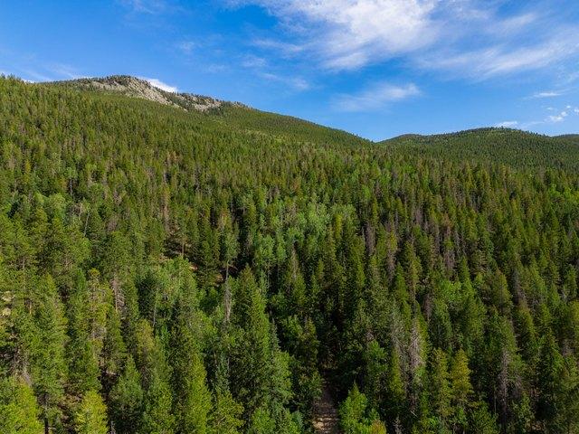 Tbd Twin Spruce Rd, Golden, CO 80403