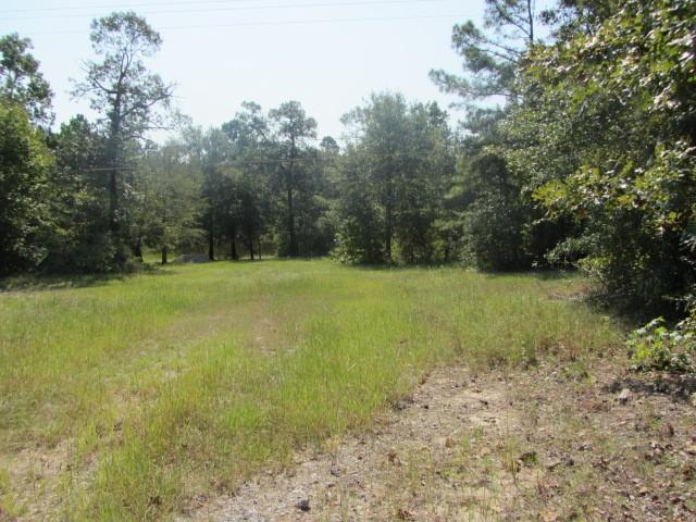 TBD Tx 19