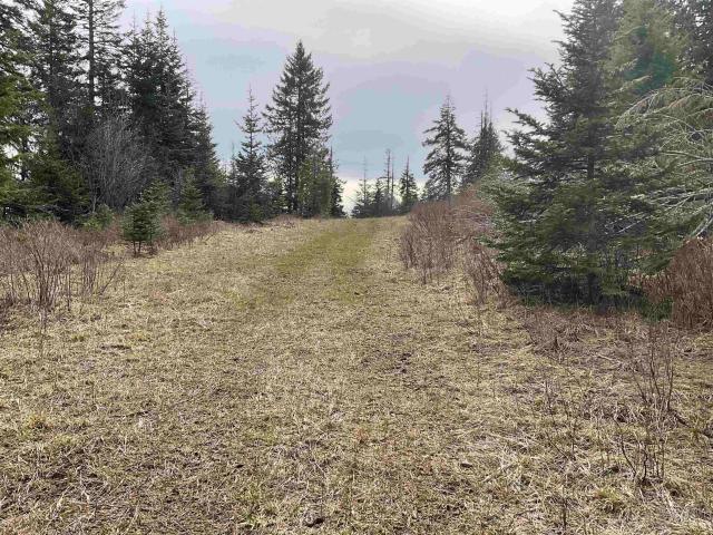 TBD Upper Fords Creek Rd