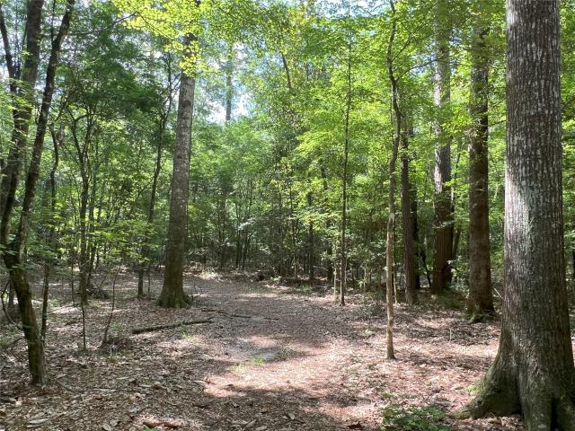 TBD Upper Leggett Road