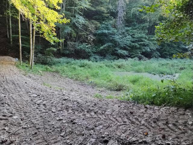 Tbd Upper Possum Creek Road