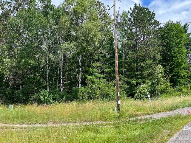 TBD US 141 Highway