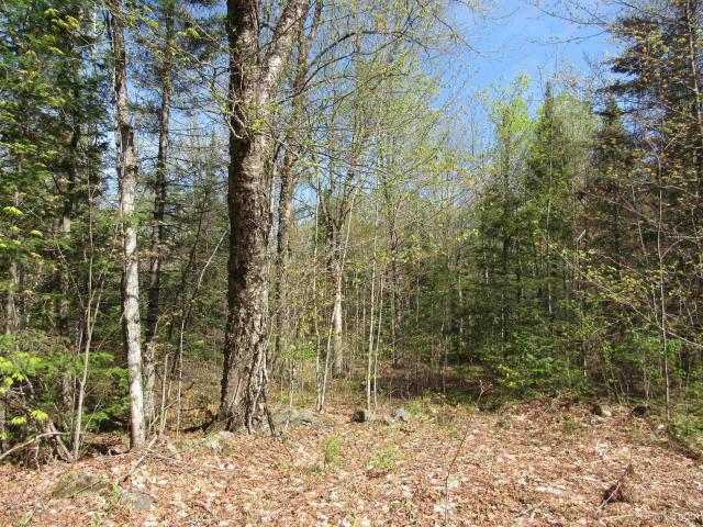 TBD US 141 Road # Lukes Road