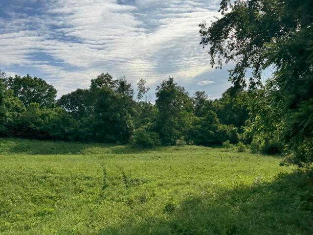 Tbd V I Ranch Road