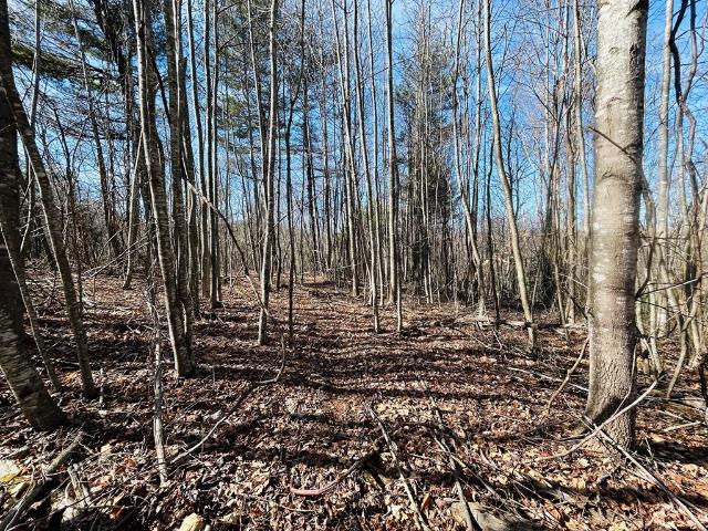 TBD Valley Hill Dr/Meadow Creek Rd