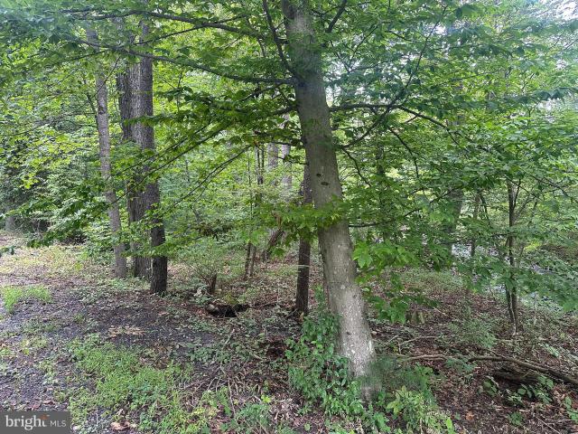 Tbd Van Buren Rd, Maurertown, VA 22644 | MLS #VASH2012 | Compass