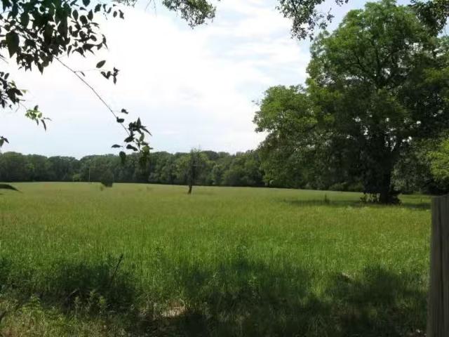 TBD Van Zandt County Road 1111, Grand Saline, TX 75140