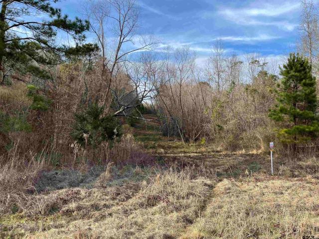 Tbd Venus Rd, Gladewater, TX 75647 | MLS #25016